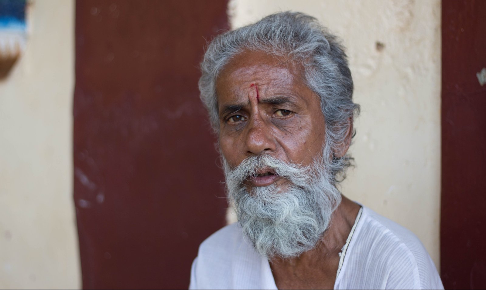 HOLY HANDS OF INDIA: Part Two, The Brahmin - Chirology I Hand Analysis ...