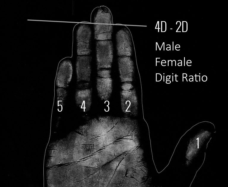 History - Chirology I Hand Analysis I Palmistry